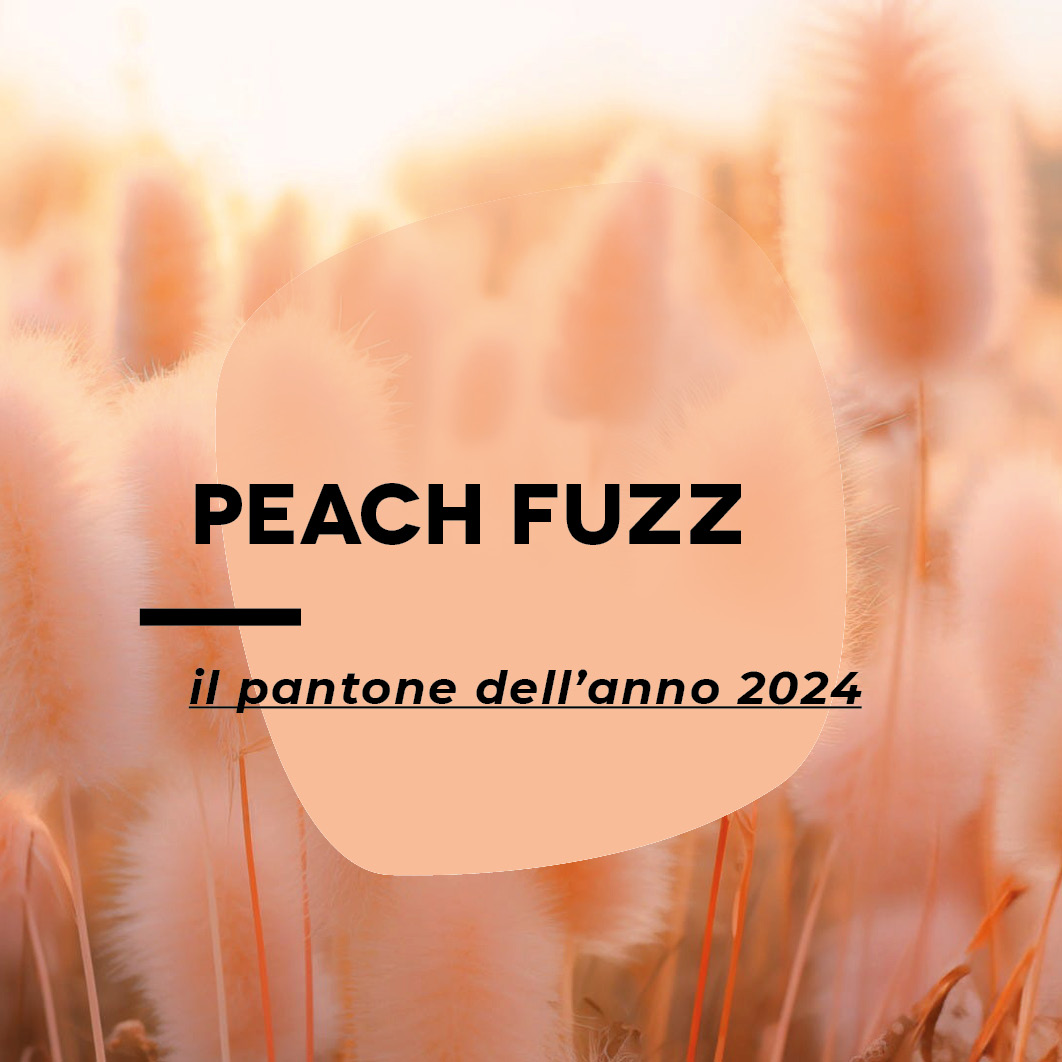 Ecco il Pantone 2024! - Ditre